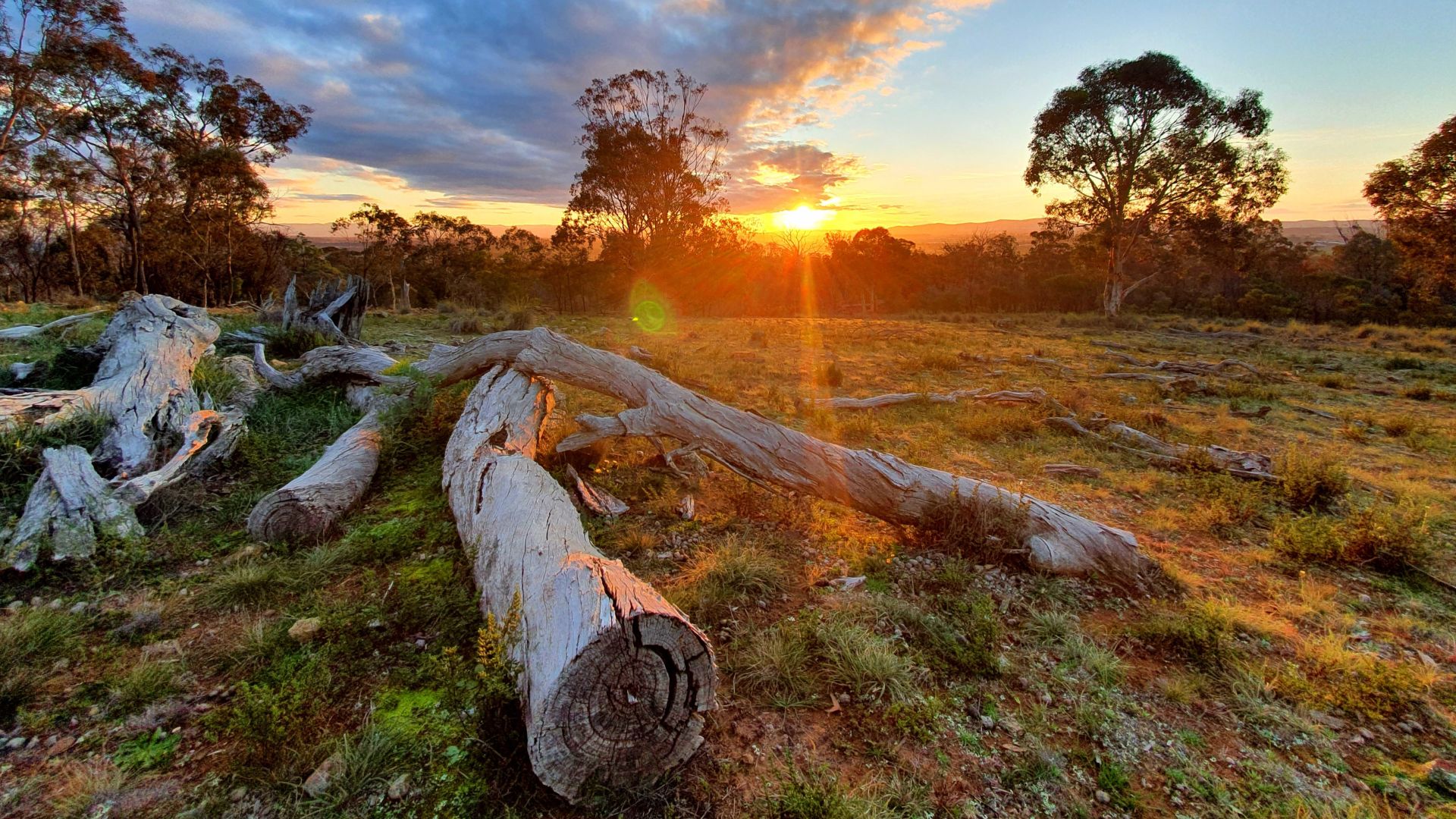 Right to a Healthy Environment | YourSay ACT