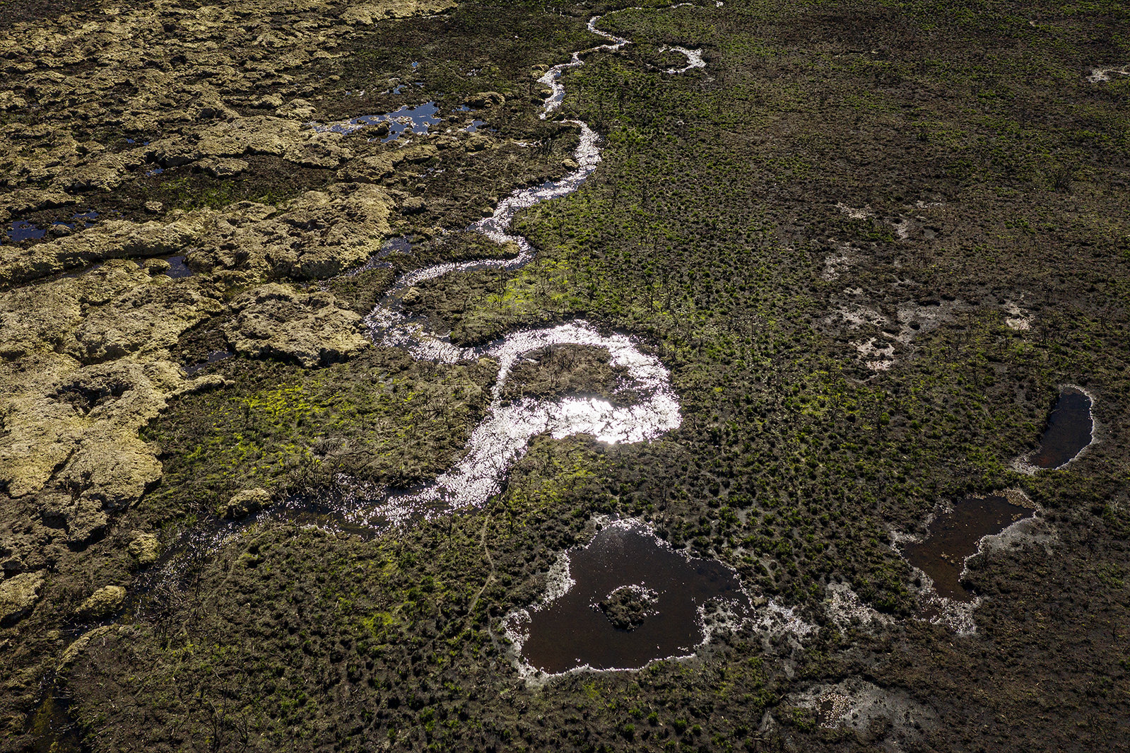 Draft Action Plan for High Country Bogs and Fens | YourSay ACT