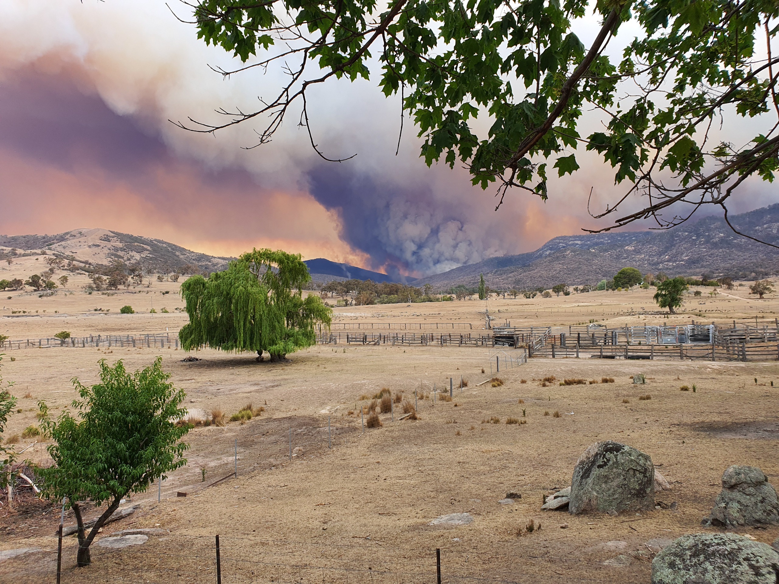 Bushfire Management Standards Review 2023 | YourSay ACT